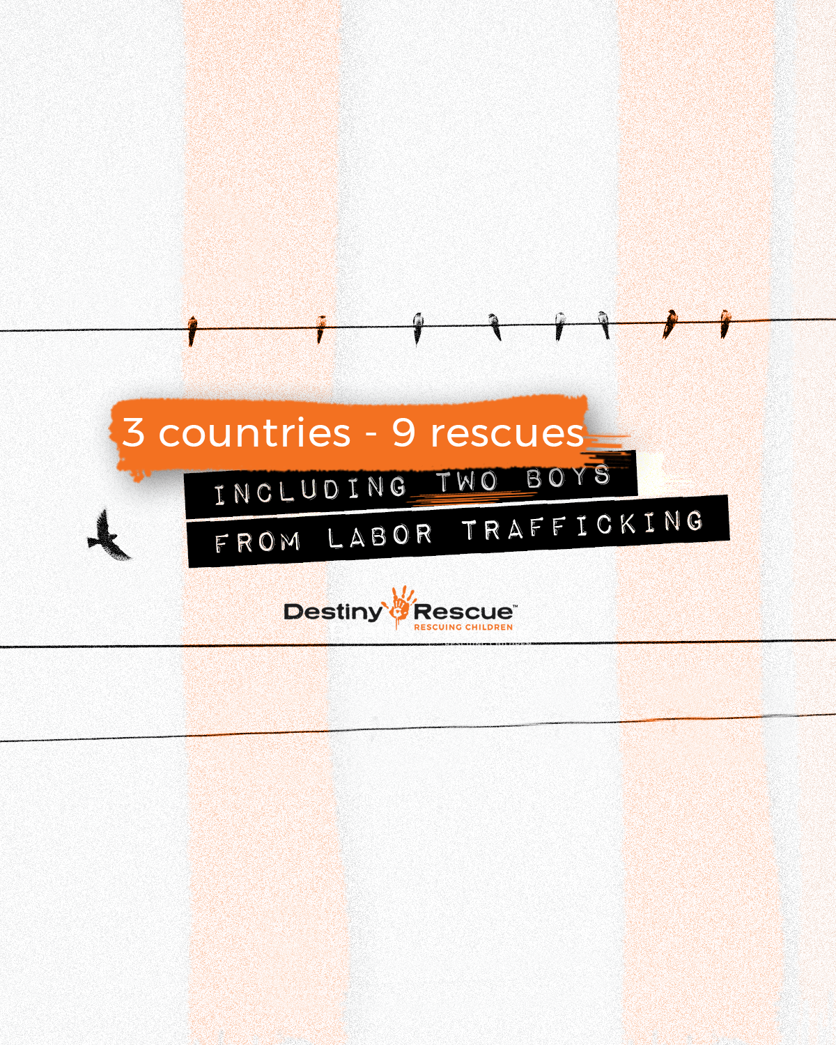 Three countries - nine rescues - Destiny Rescue | Destiny Rescue