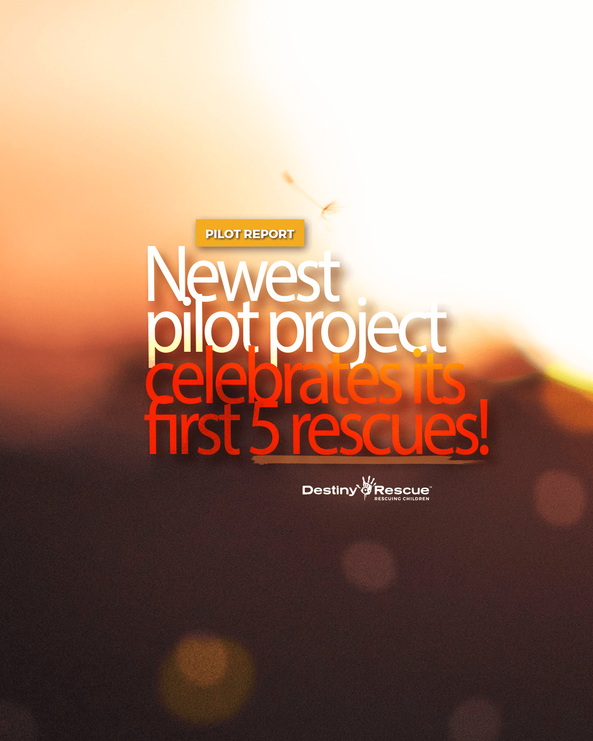 Newest pilot project celebrates its first 5 rescues! - Destiny Rescue ...