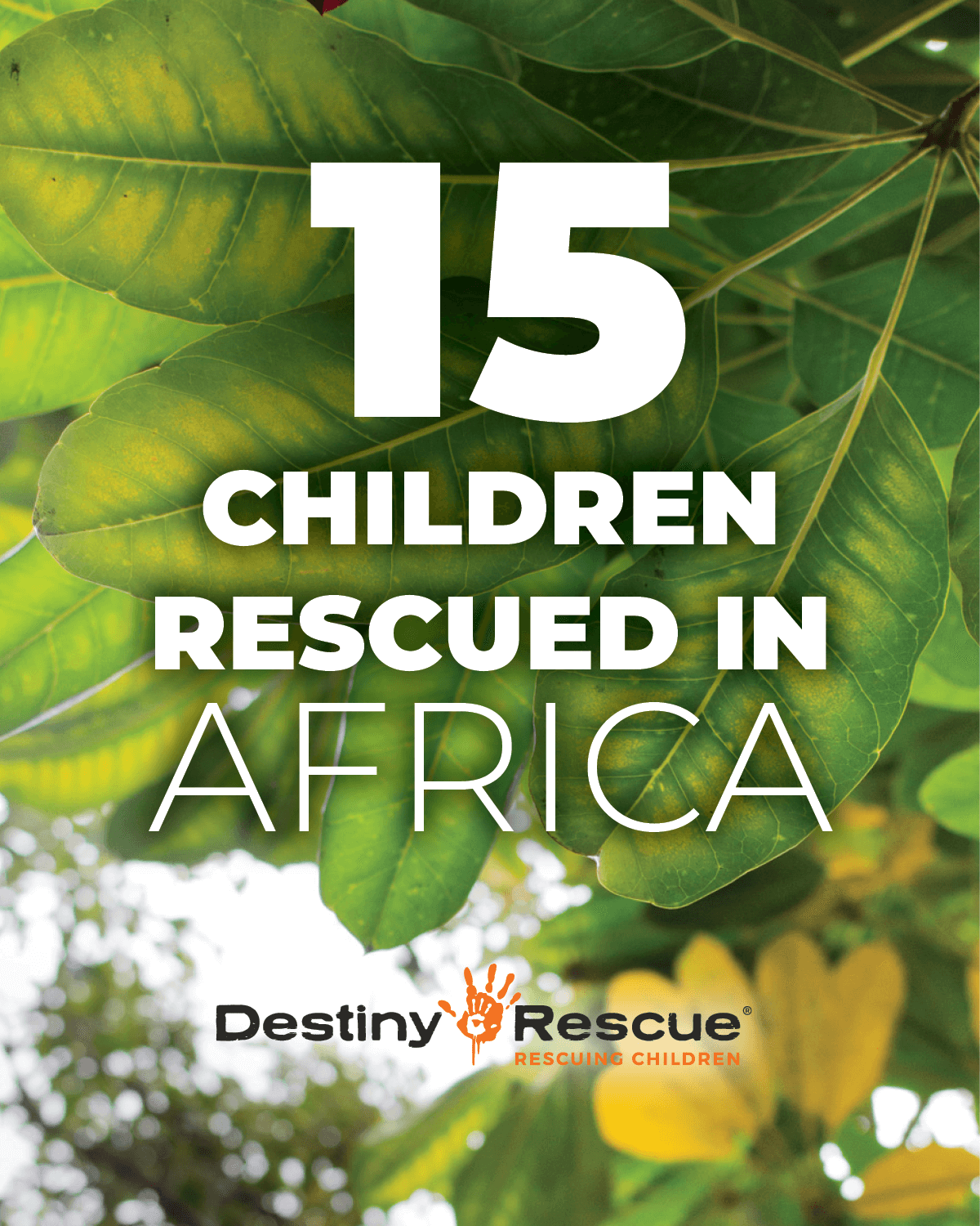 15 children rescued from exploitation in Africa - Destiny Rescue | Destiny Rescue