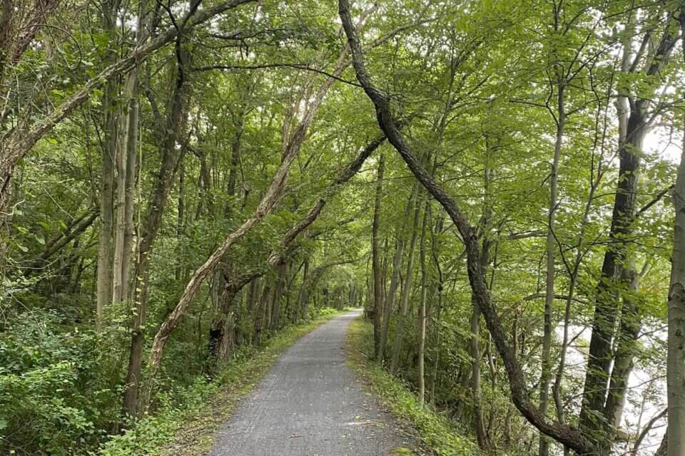 Join Our Team and Fight Human Trafficking- Destiny Rescue | Destiny Rescue