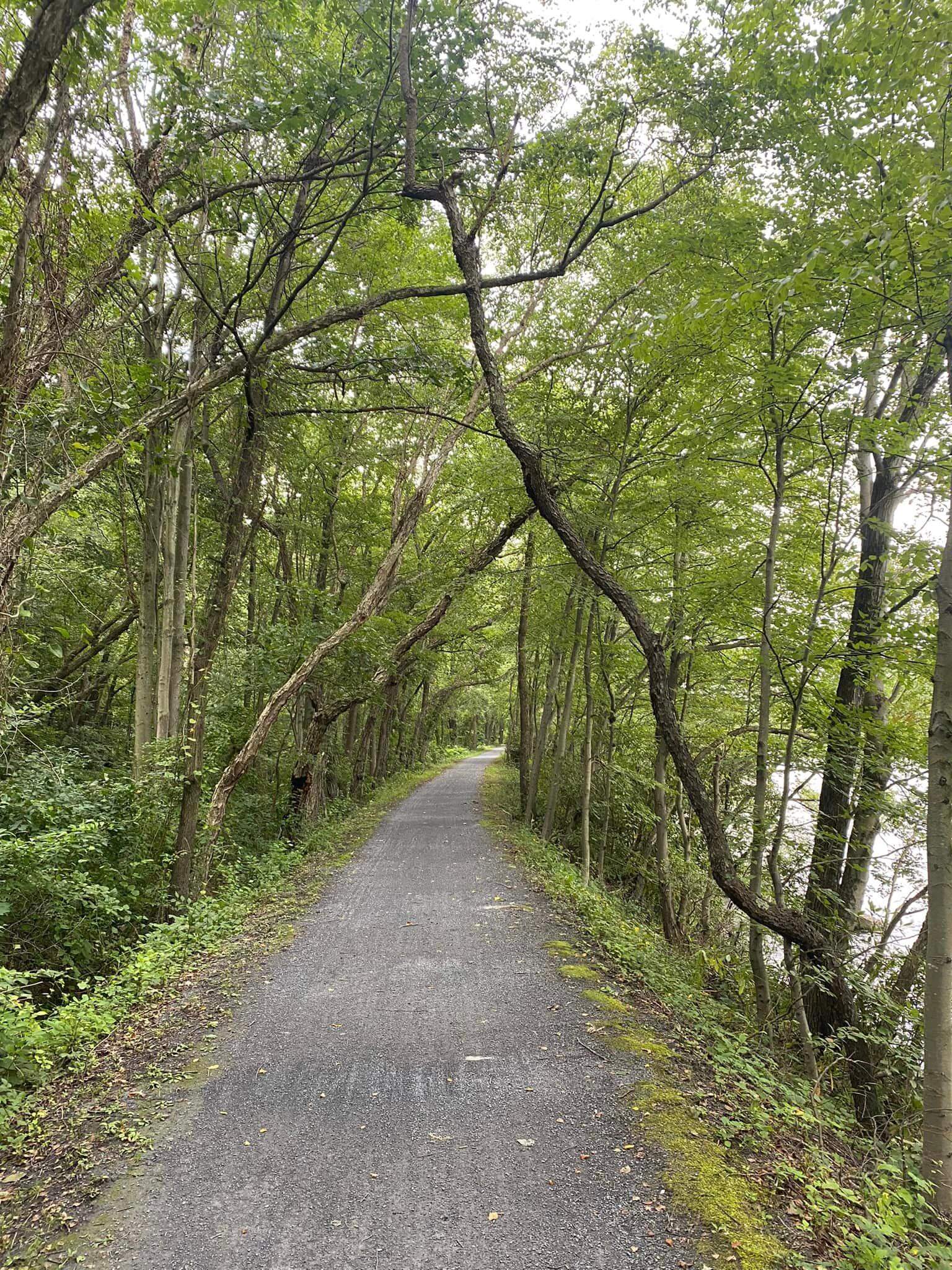 Advocate Runs Across Pennsylvania to Rescue Kids - Destiny Rescue ...