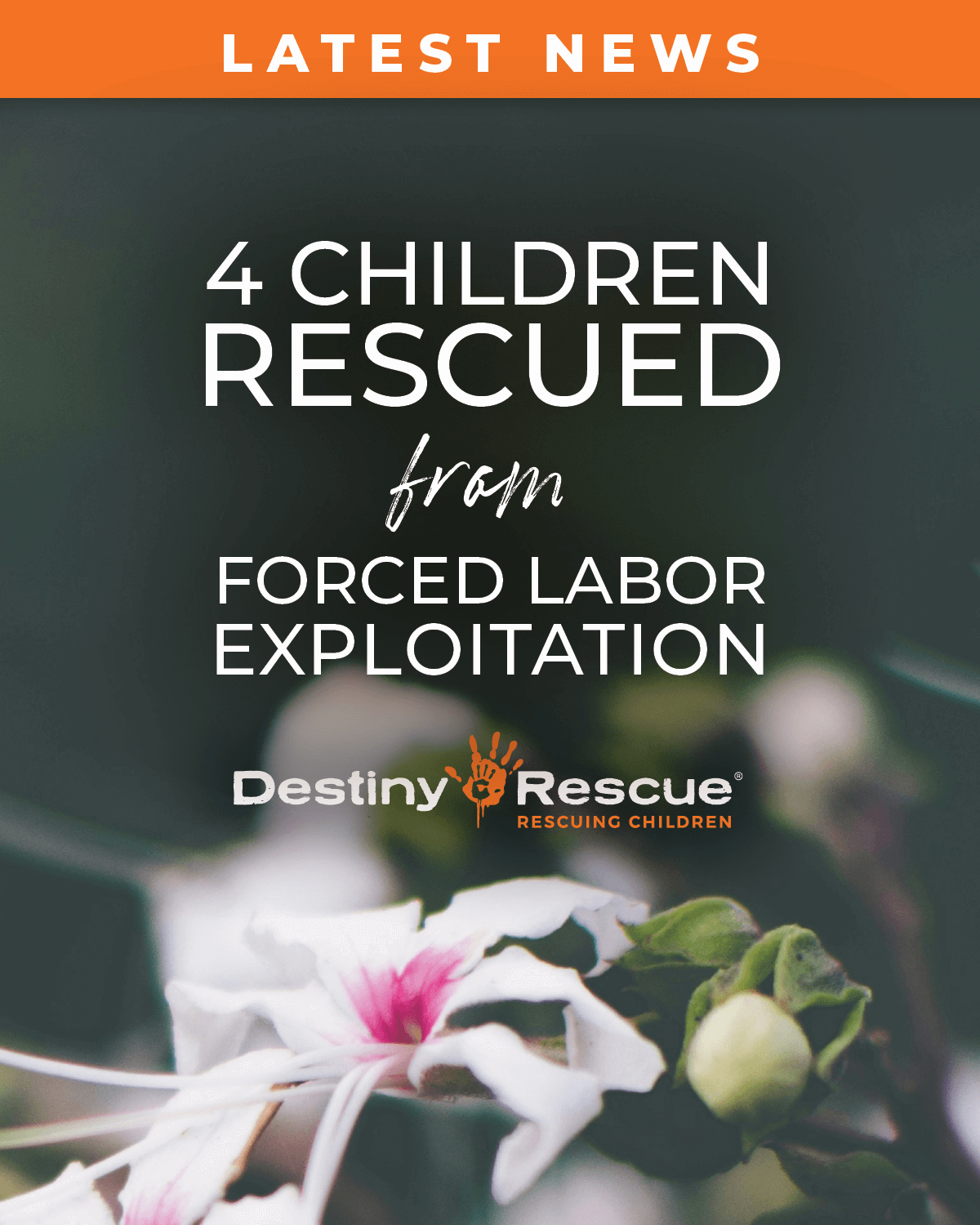 4 Children Rescued From Forced Labor Exploitation - Destiny Rescue | Destiny Rescue