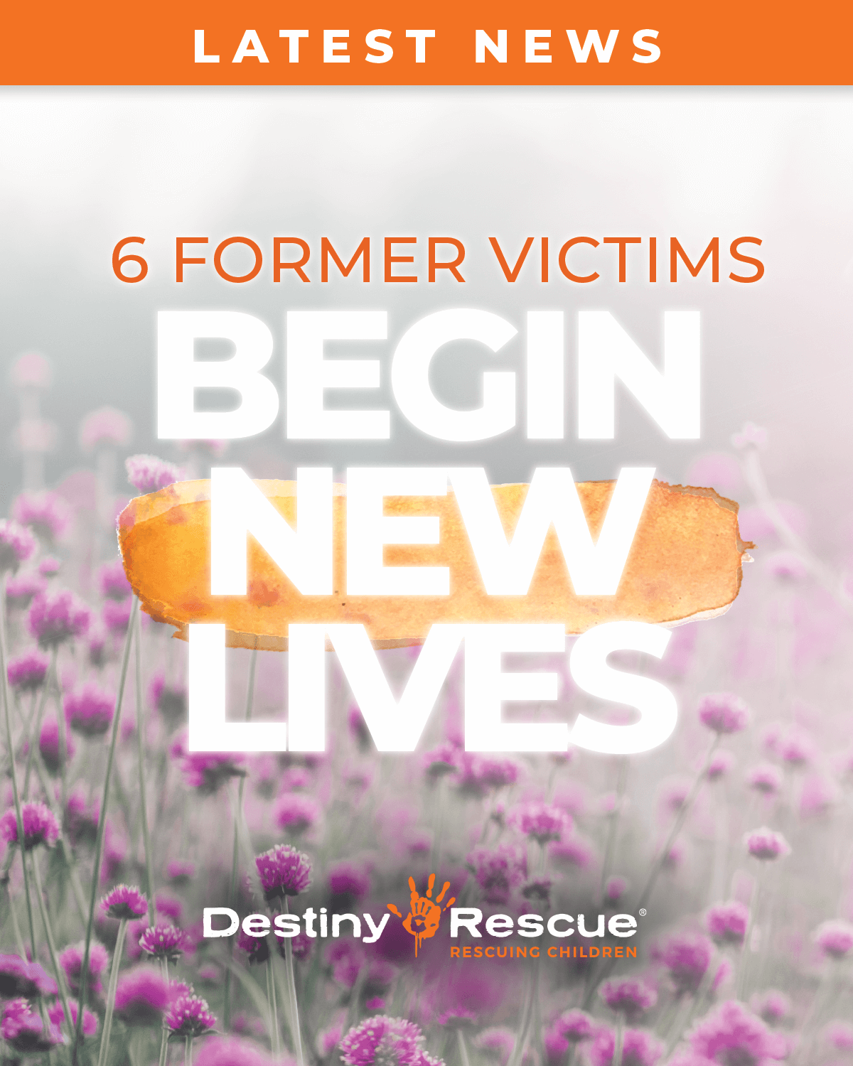 6 Former Victims Begin New Lives - Destiny Rescue | Destiny Rescue
